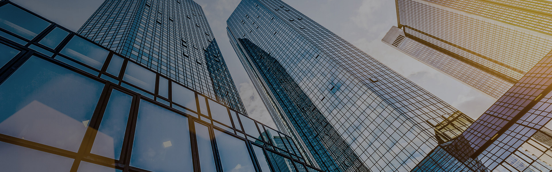 Videos - Austin Gold